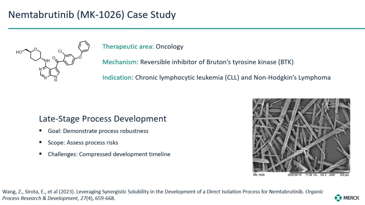 Late-Stage Pharmaceutical Development of Nemtabrutinib (MK-1026)