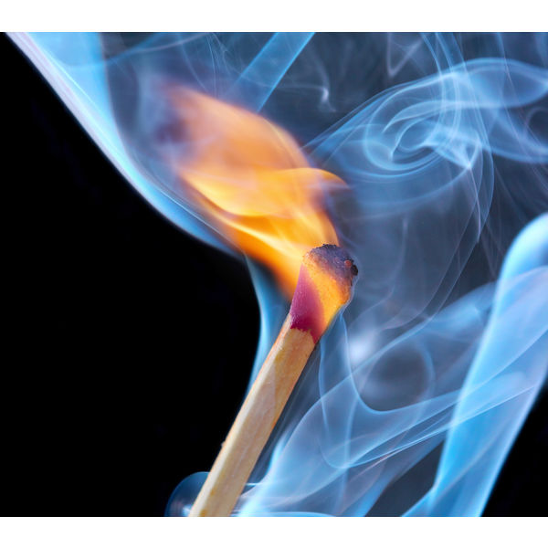 Flash DSC2+ 主机 - 纵览 - 梅特勒托利多